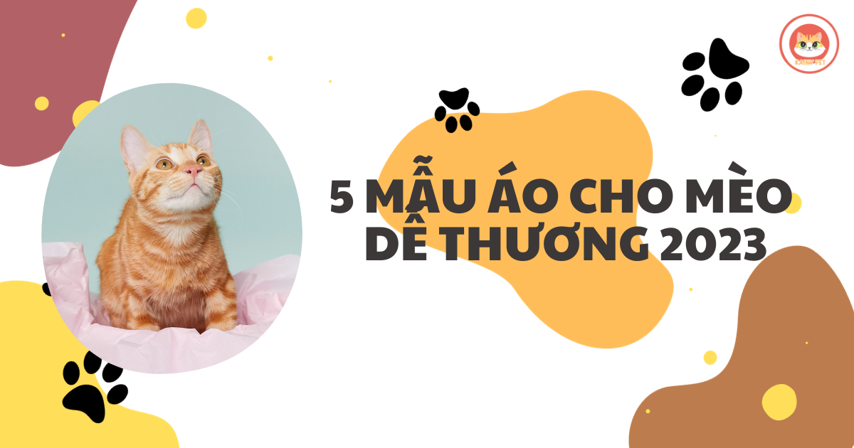 5 mẫu áo cho mèo đáng yêu nhất 2023